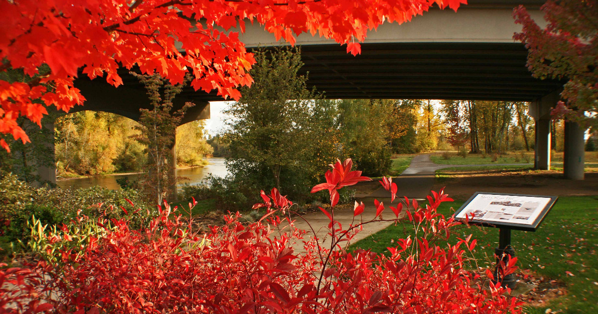 Autumn Walking Tour of Downtown Corvallis