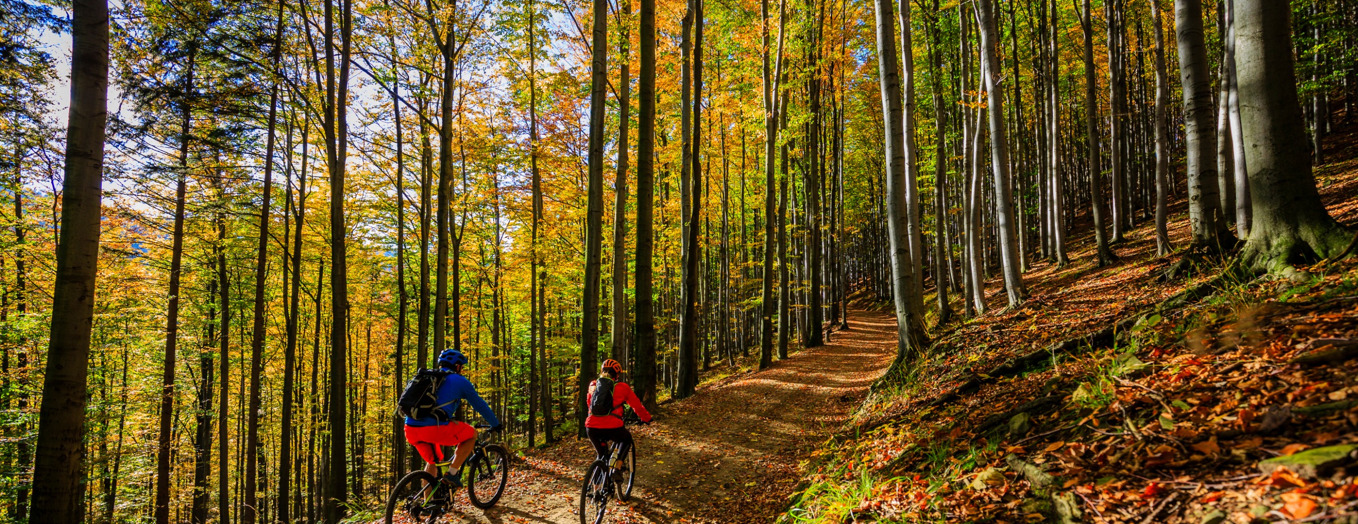 Top Things To Do & See In Corvallis Oregon - OSU, Hotels, Hiking, Wine