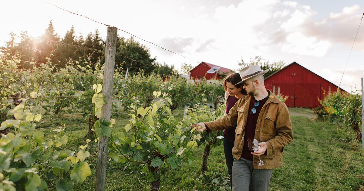 5 Ways to Celebrate Oregon Wine Month