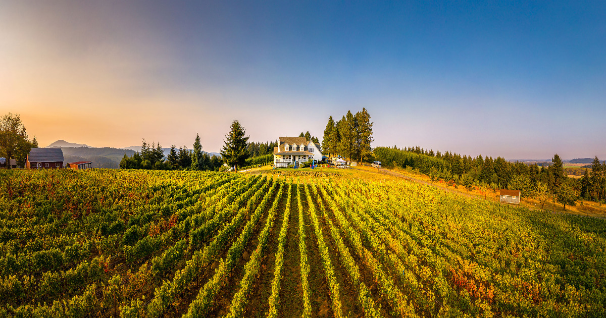 Thanksgiving Weekend Oregon Wine Tastings