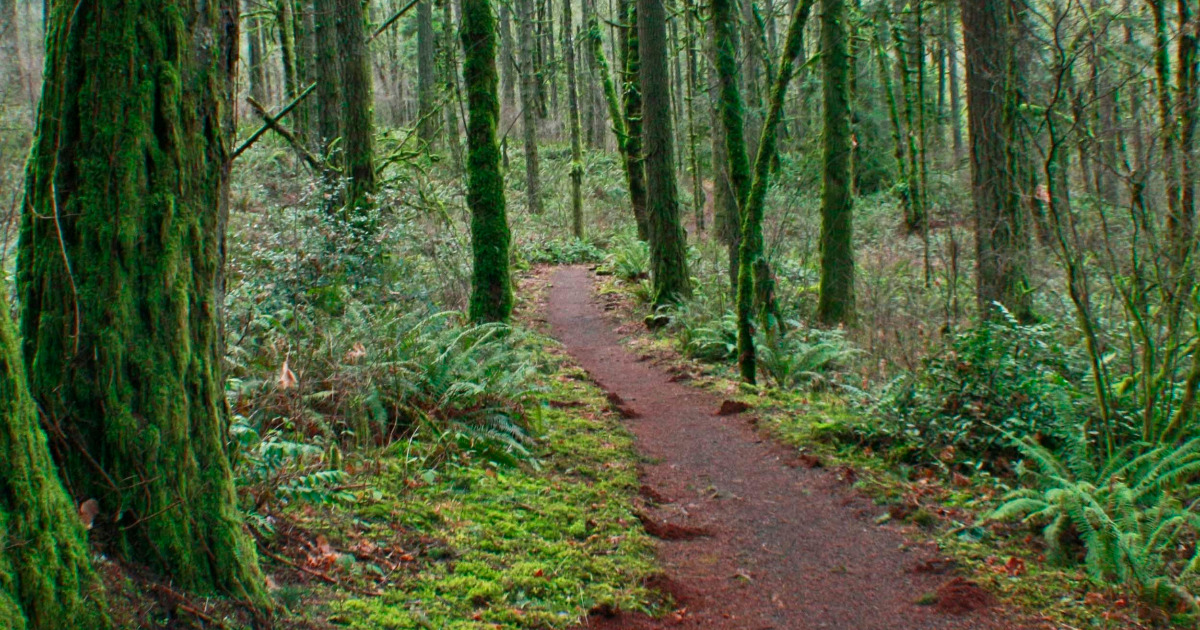 2 Hours in Corvallis: Peavy Arboretum & the Biere Library