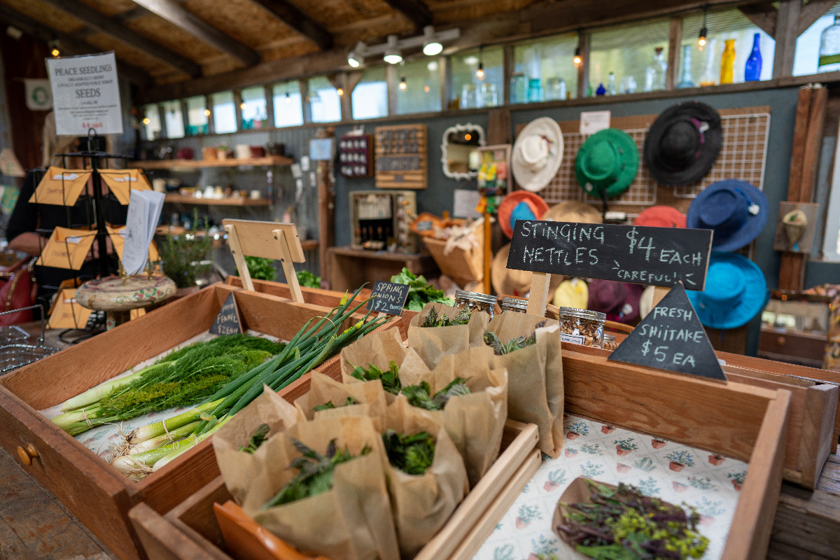 4 Farm Stands You Can Visit on the Mid-Willamette Valley Food Trail