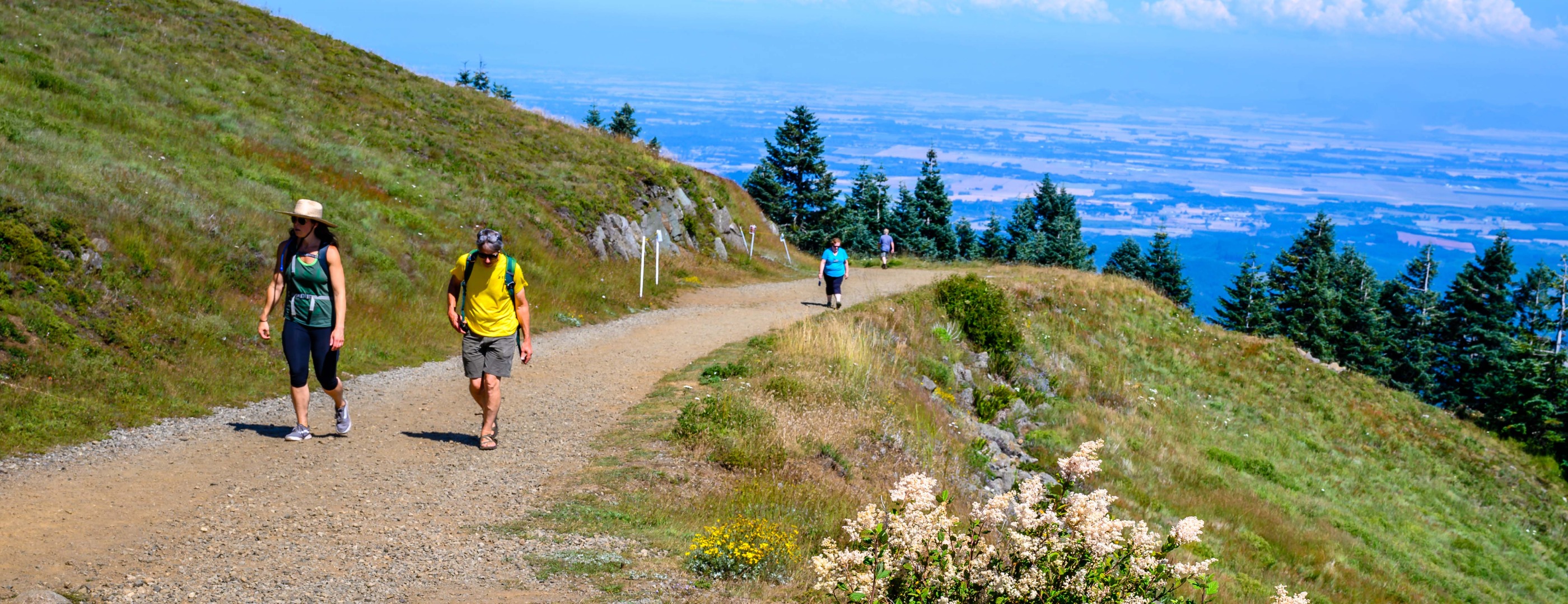 Top Things To Do & See In Corvallis Oregon - OSU, Hotels, Hiking, Wine